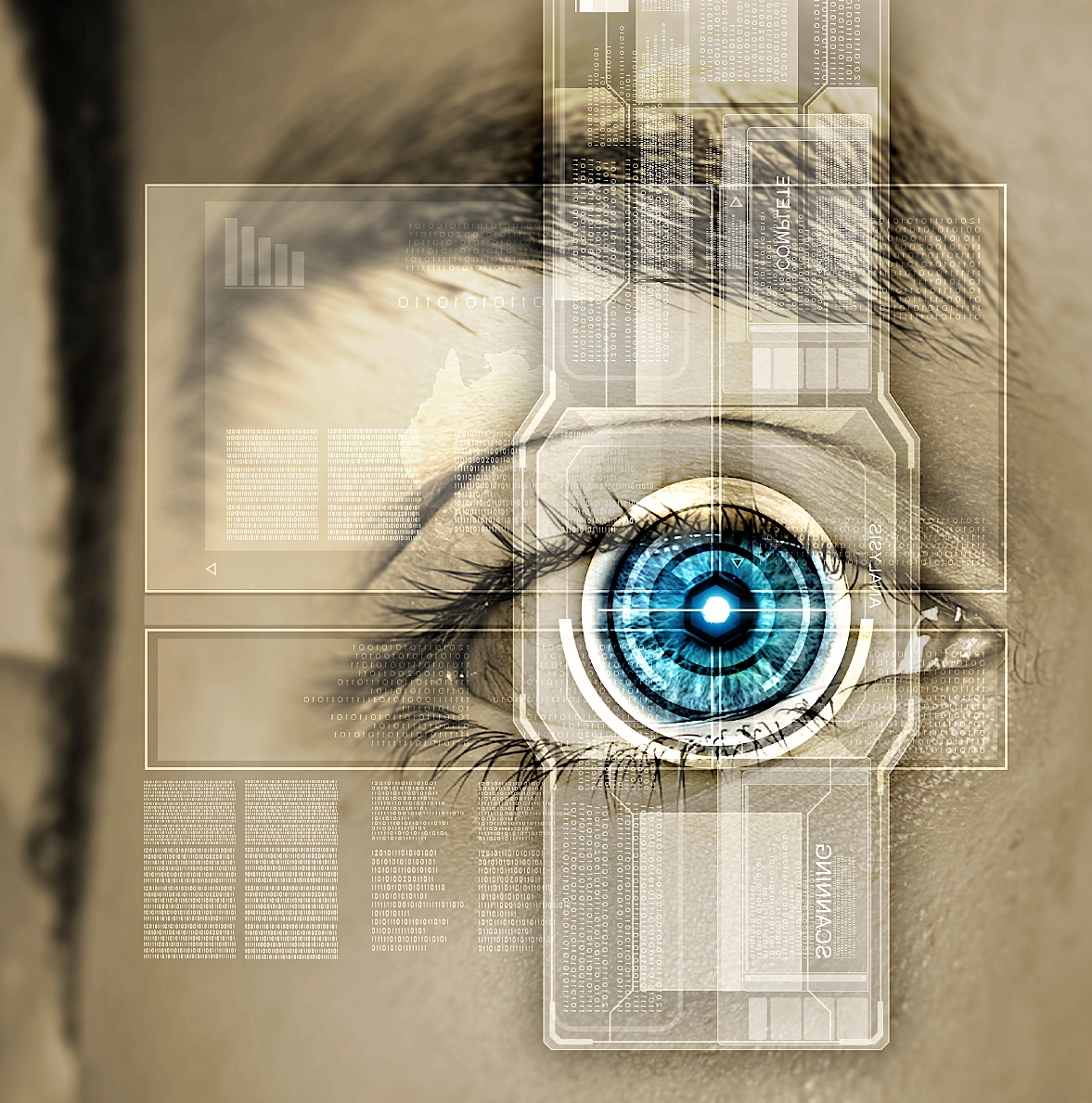 New technologies for assessing the contact lens wearing eye | Contact ...