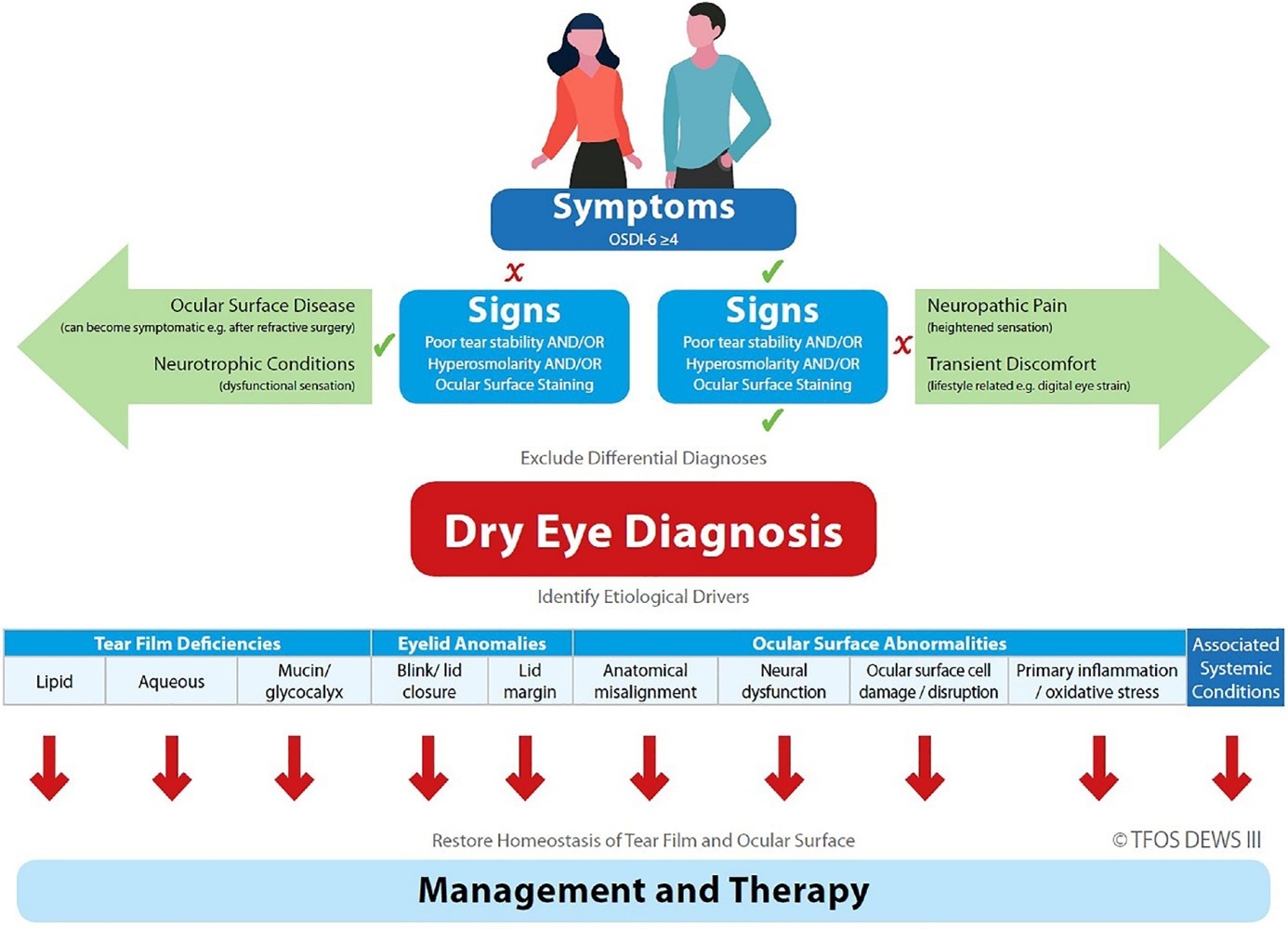 Article Review: TFOS DEWS III: Diagnostic Methodology | Contact Lens Update
